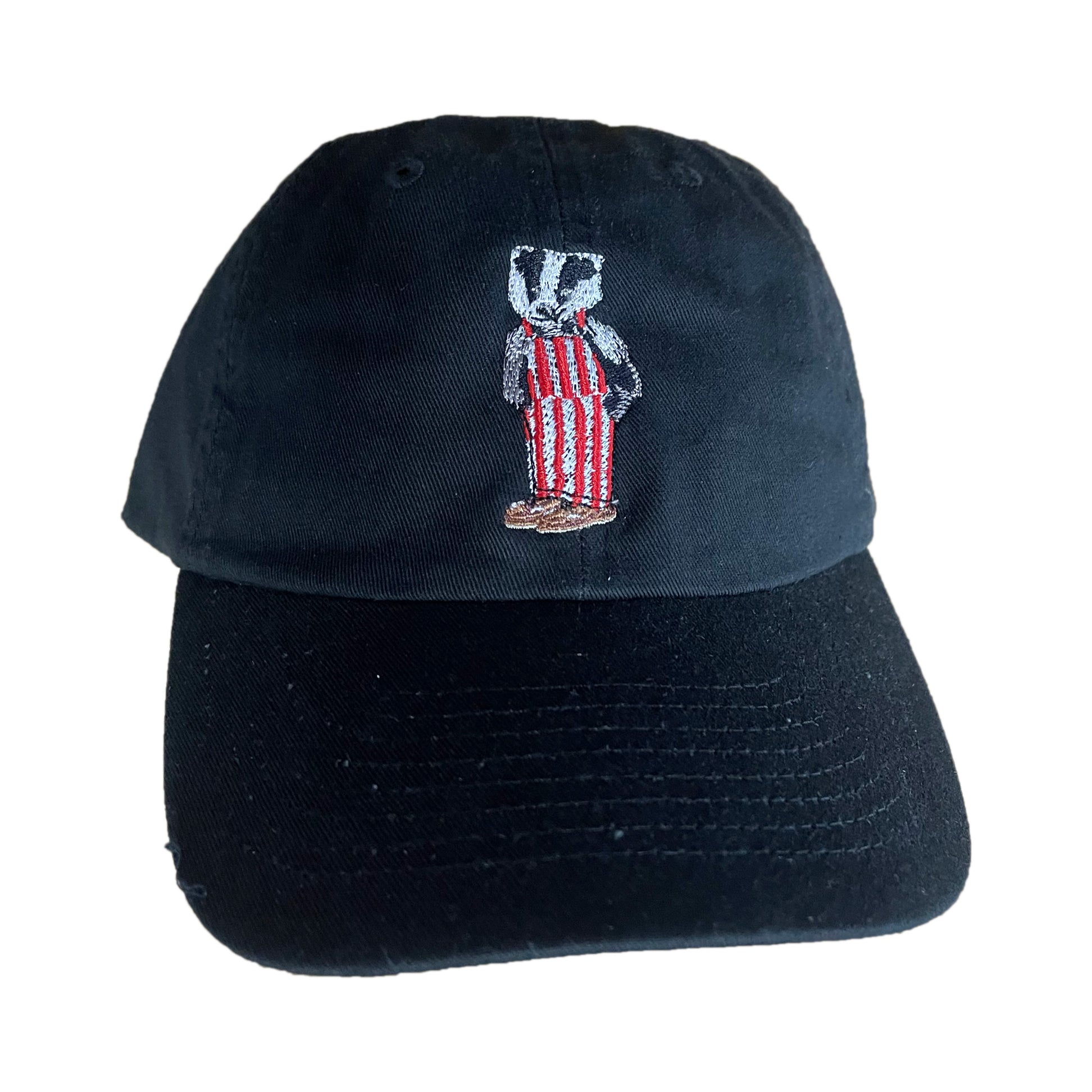 Badger Bear – Wisconsin Design Team